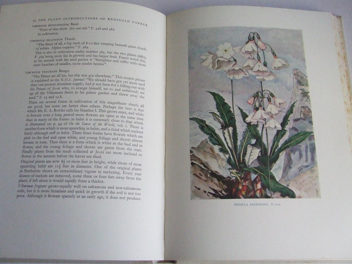 The Plant Introductions of Reginald Farrer. – McLaren Books